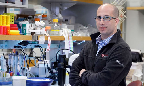 ELA: científicos de EEUU y el Reino Unido encontraron un talón de ...